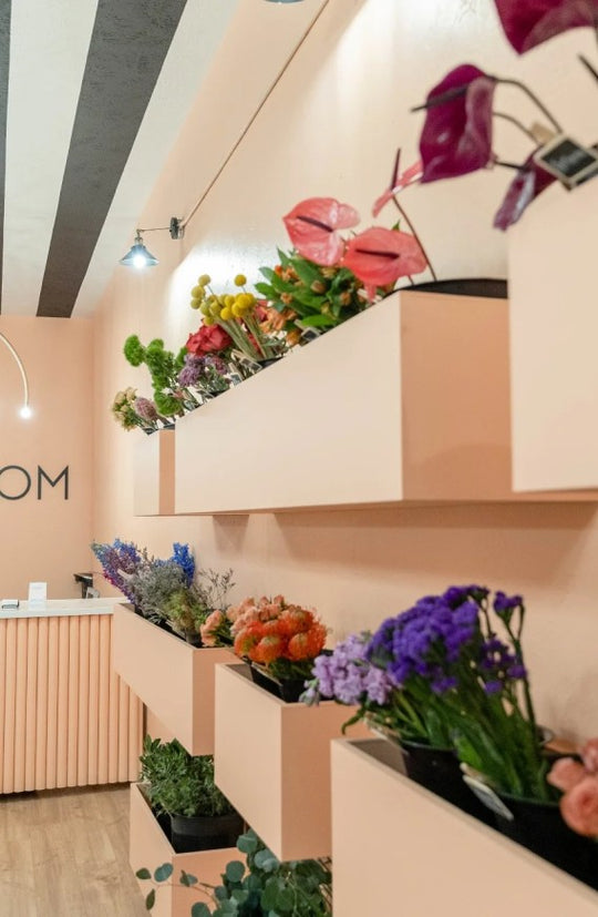 Columbus, Ohio - Short North Florist – Blossom Flower Bar